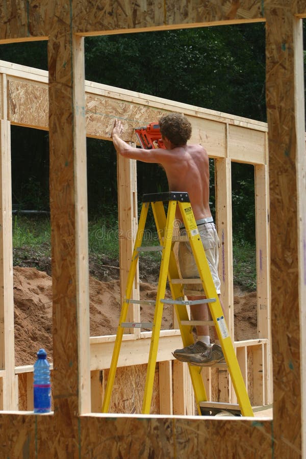 Nailing plywood stock image. Image of plywood, wood, nail - 1090541