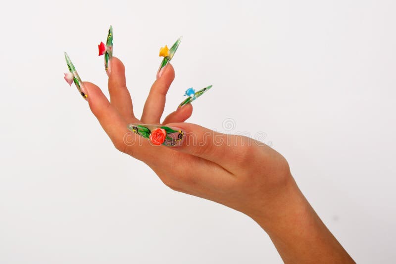 Nails stock photo. Image of manicure, rose, woman, gentle - 13581772