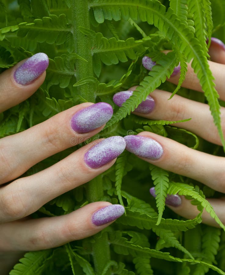 Nails stock photo. Image of beauty, fern, purple, look - 14285372