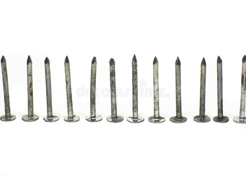 Nails on End in a Line Isolated on Whilte Stock Photo - Image of ...