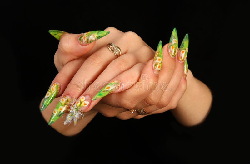 Nails Human Fingers with Long Fingernail and Beautiful Manicure Stock ...
