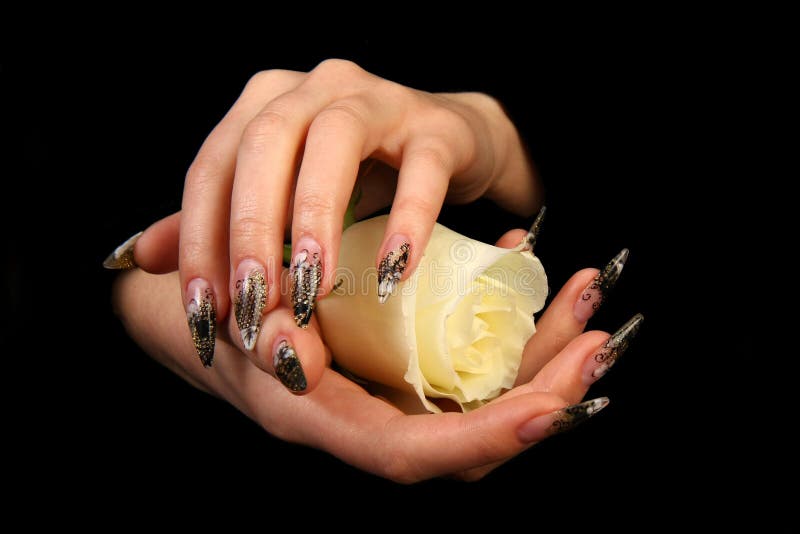 Nails Human Fingers with Long Fingernail and Beautiful Manicure Stock ...