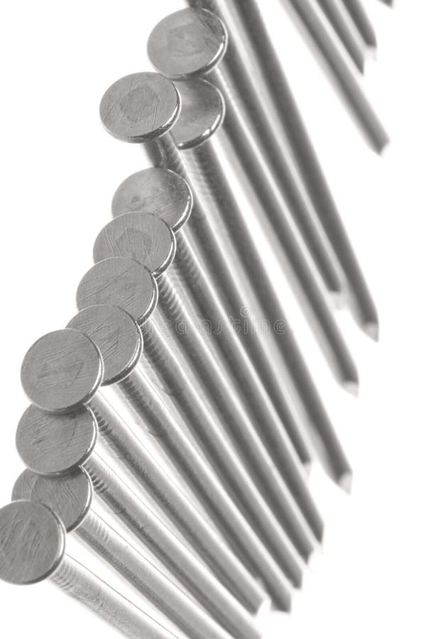 Nails Macro Isolated stock image. Image of isolated, nail - 11821723