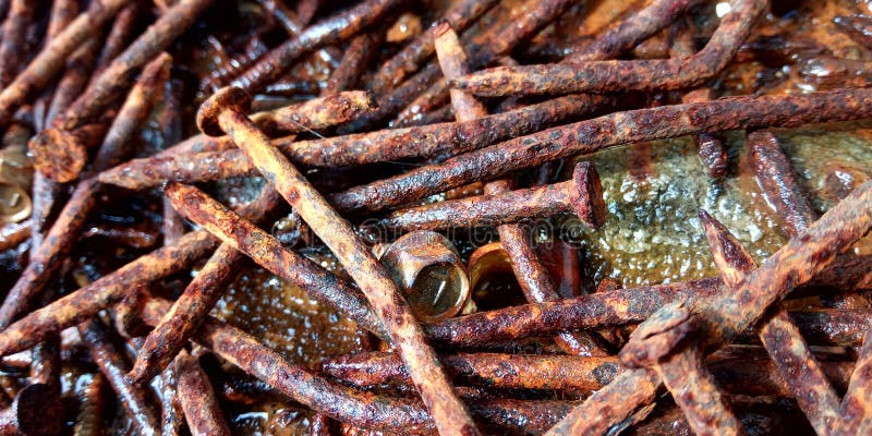 The nails stock photo. Image of soaking, rust, rain - 209056842