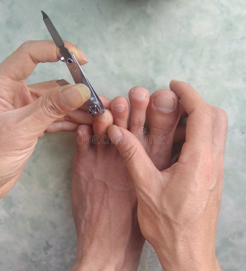 Nails are a Part of the Human Body that is Found or Grows on the Tips ...