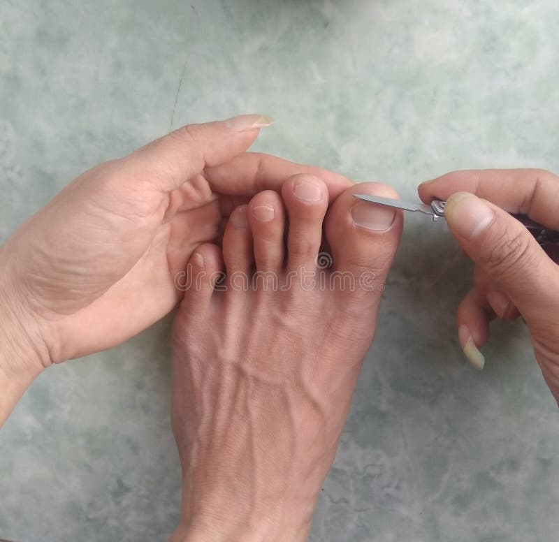 Nails are a Part of the Human Body that is Found or Grows on the Tips ...