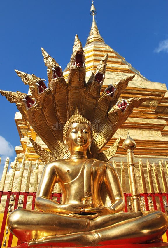 409 Asian Sharking Nak Stock Photos - Free & Royalty-Free Stock Photos ...