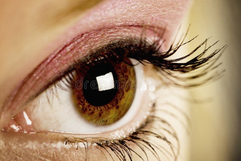 Naked Eye stock photo. Image of human, beauty, care, macro - 5822170