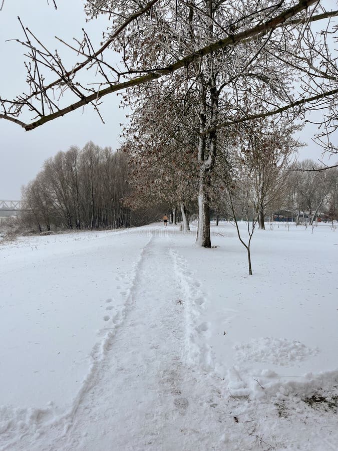 Naked Seasoned Man on Run in the Park Stock Photo - Image of nature ...