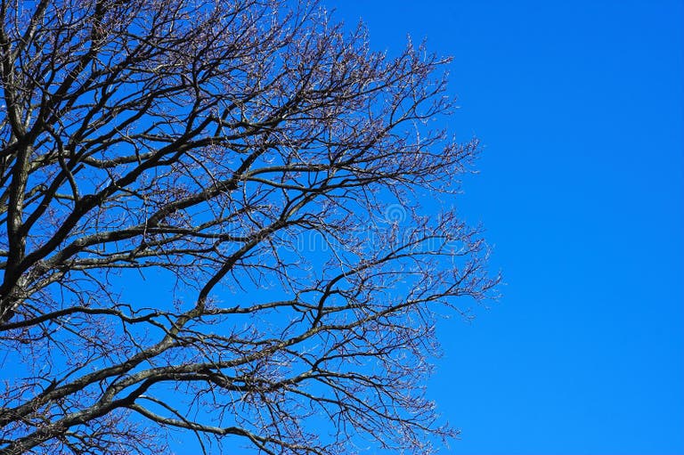 10,264 Naked Pictures Old Stock Photos - Free & Royalty-Free Stock ...