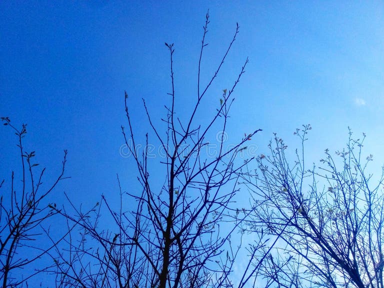 Naked Pics Beyonce Stock Photos - Free & Royalty-Free Stock Photos from ...