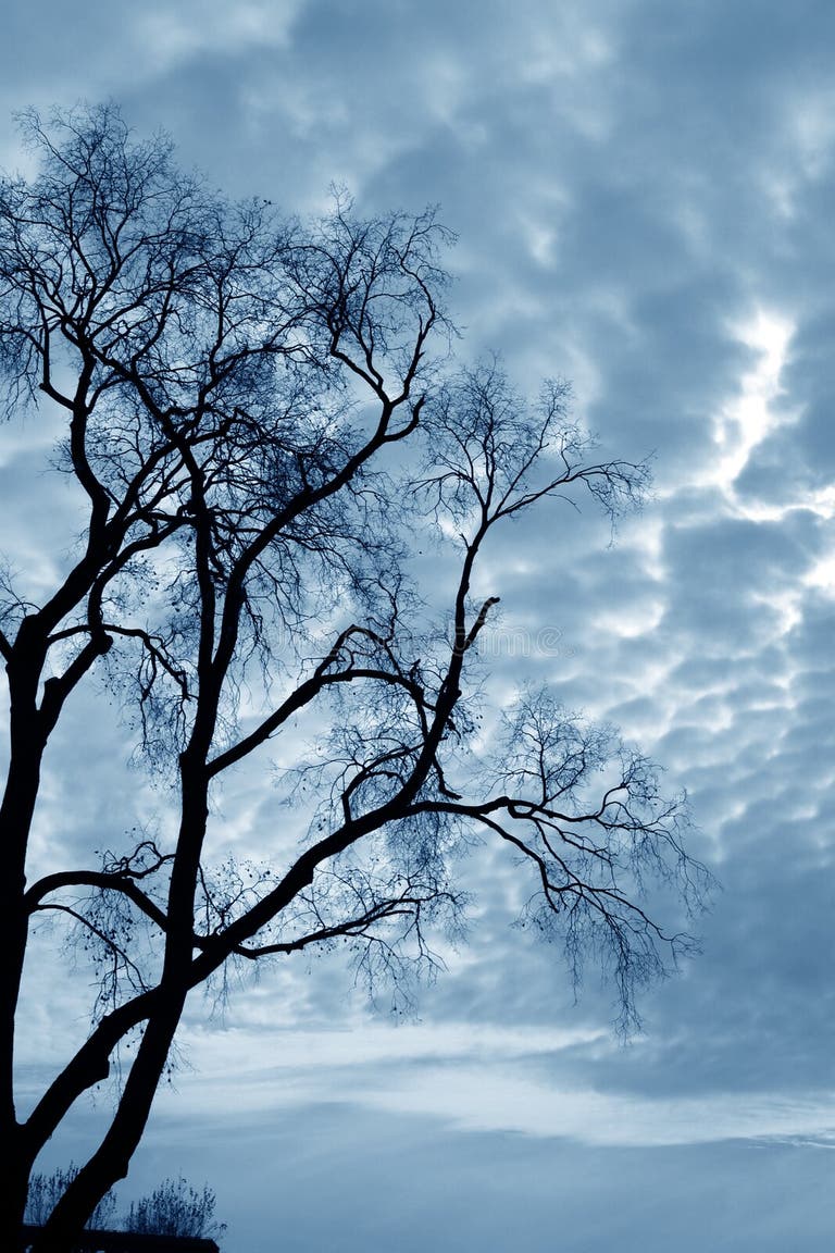 1,825 Naked Dead Gril Stock Photos - Free & Royalty-Free Stock Photos ...