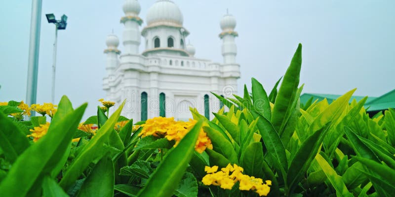 Nakodar Stock Photos - Free & Royalty-Free Stock Photos from Dreamstime