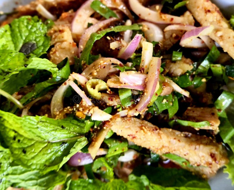 Moo Nam Tok, Ensalada Asada a La Parrilla Picante Y Arroz Pegajoso ...