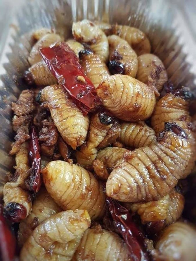 The Name is Butod and a Local Cuisine in Sabah. Stock Photo - Image of ...