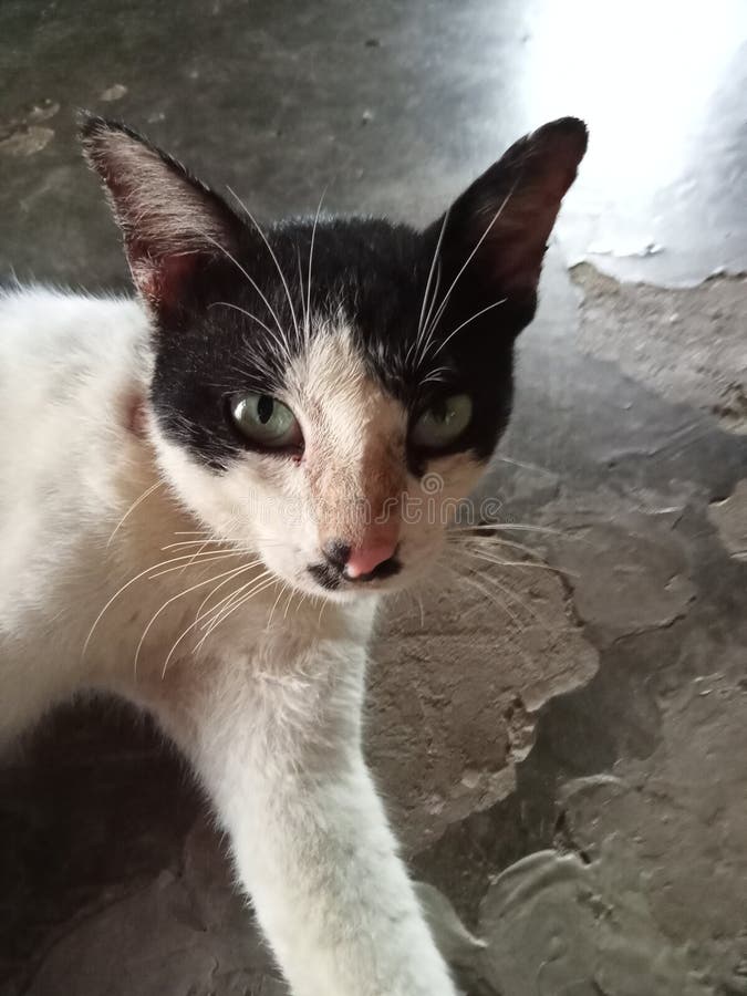 Name Cut but he is Dead What a Shame Stock Photo - Image of dear, shame ...