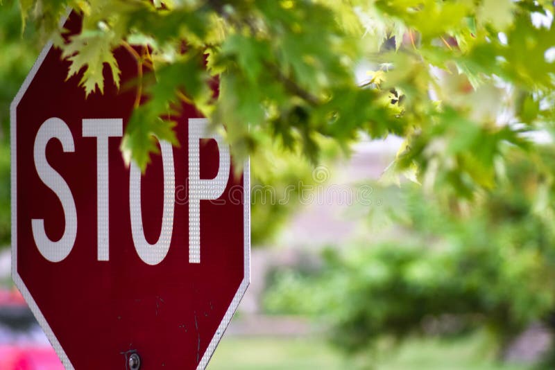 In the Name of Love stock photo. Image of love, greenery - 93735938