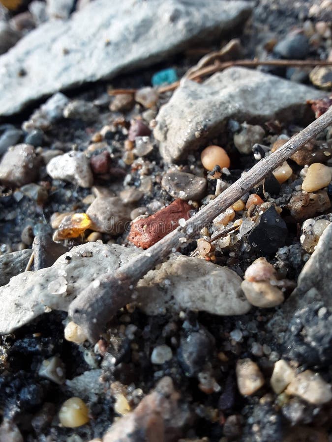 Pebbles Rocks & Single Stick Stock Photo - Image of rocks, tree: 219501112