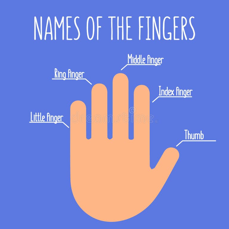 Fingers Names Stock Illustrations – 40 Fingers Names Stock ...
