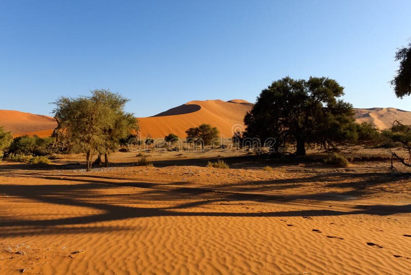 Namib Desert, Namibia stock photo. Image of color, namibia - 46768218