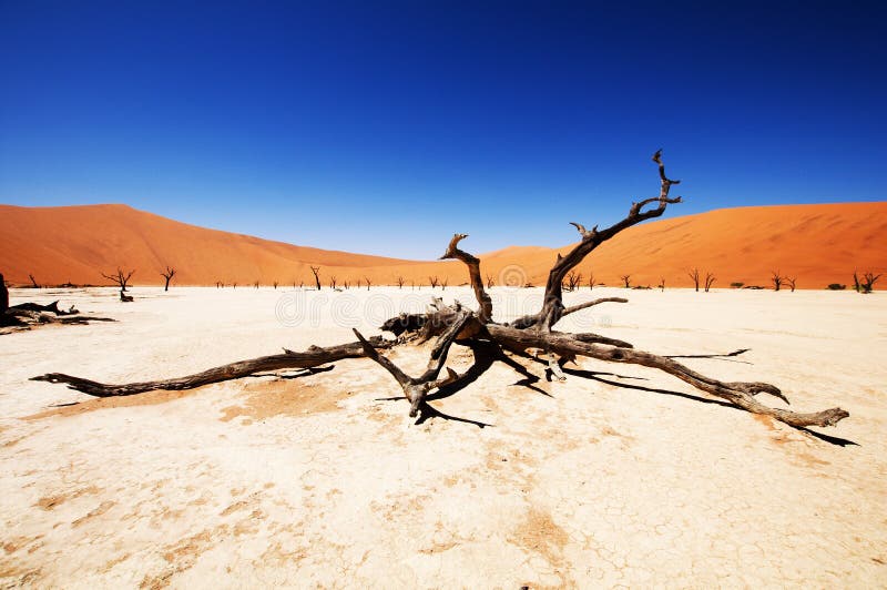 Dry Soil, Namib Desert, Namibia Stock Photo - Image of heat, background ...