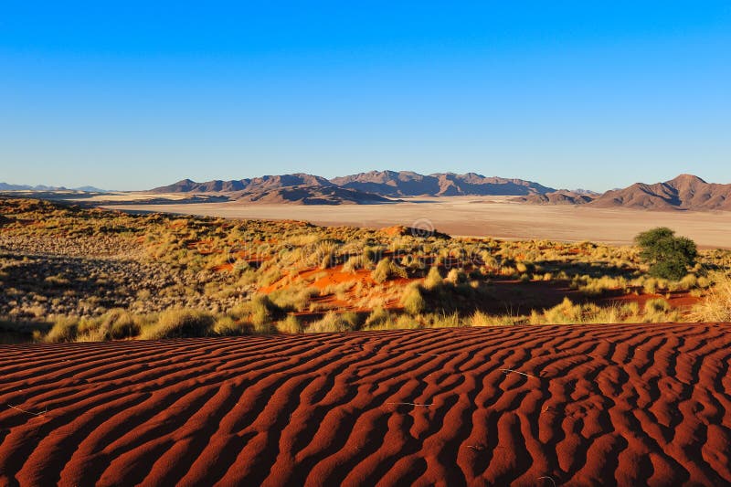 Namib Rand Nature Reserve (Namibia) Stock Photo - Image of landscape ...