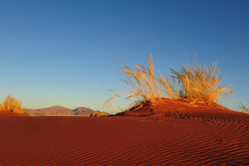 Namib Rand Nature Reserve (Namibia) Stock Photo - Image of area, scenic ...