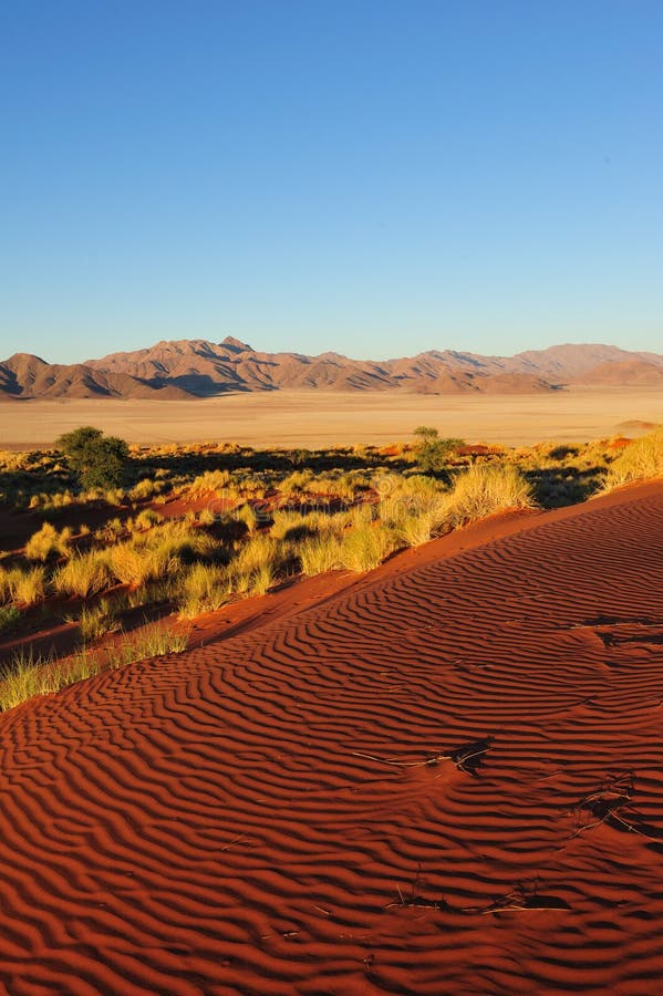 Namib Rand Nature Reserve (Namibia) Stock Photo - Image of beautiful ...