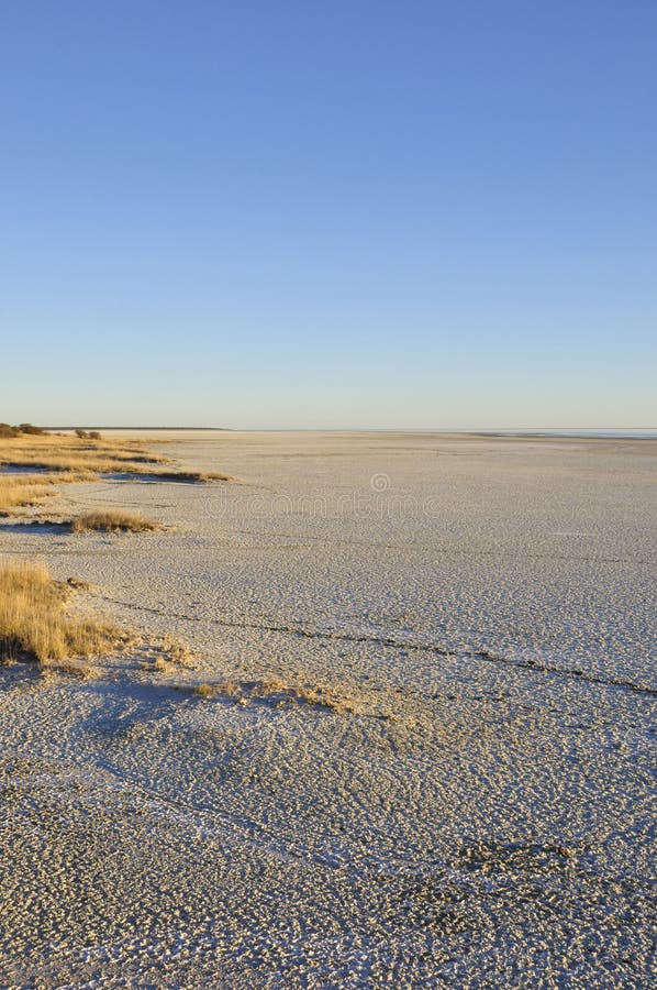 The Etosha Salt Pans in the National Park in Namibia Stock Image ...