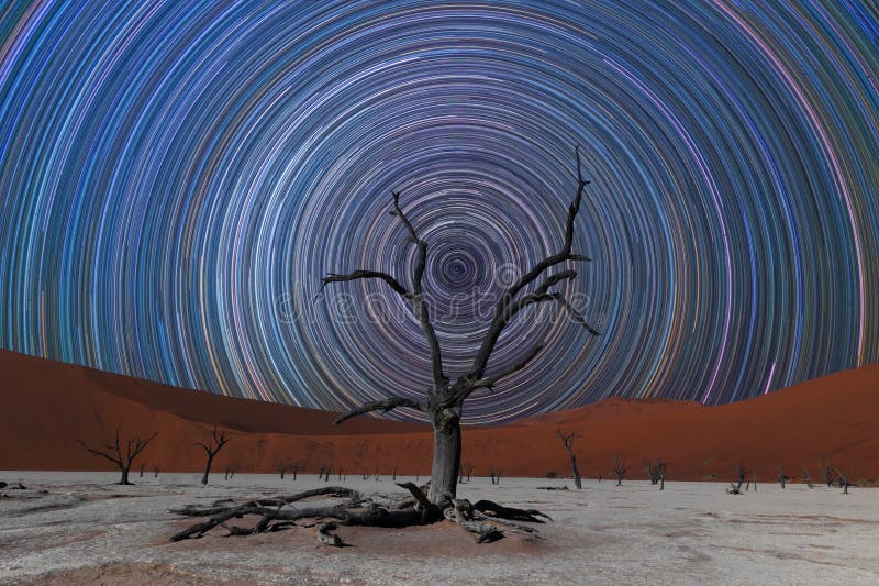 Namibia Dead Tree in Desert with Star Trails Stock Photo - Image of namibia, polaris: 346204000