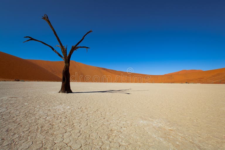 Namibia desert stock image. Image of africa, blue, sand - 15711141