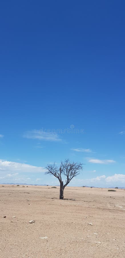 Red desert and blue water stock image. Image of plateau - 238815653