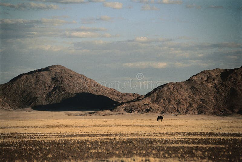 Namibia desert landscape stock photo. Image of africa - 2318582