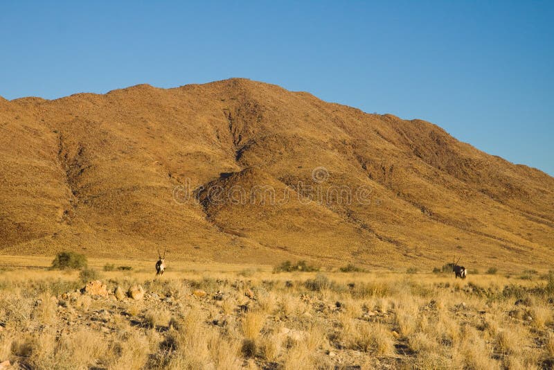 Namibia desert stock image. Image of damaraland, outdoors - 33788337