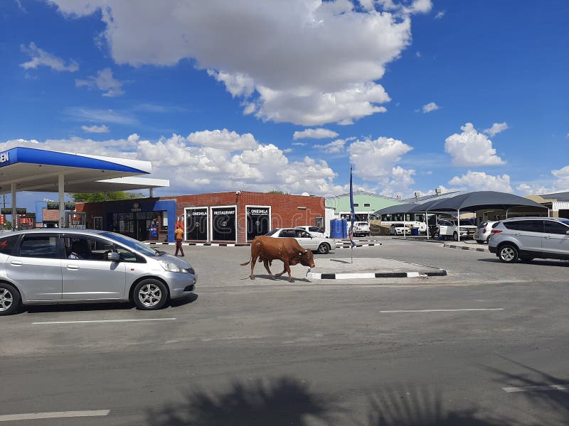 Namibia engen station editorial stock photo. Image of north - 266558553
