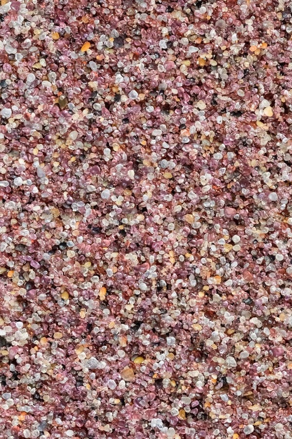 Namibia, Pink Grains of Sand Stock Photo - Image of ocean, detail ...