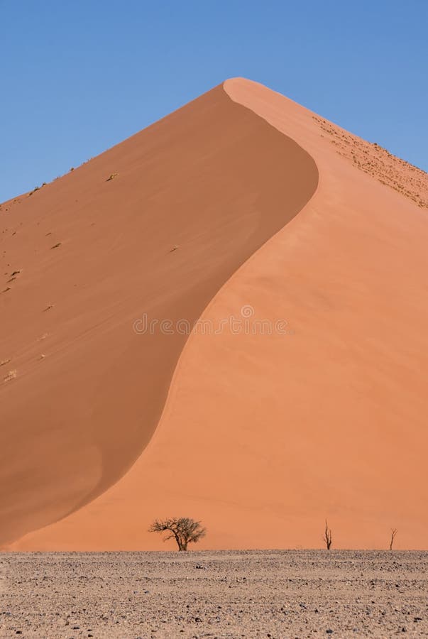 Namibian Desert Landscape stock image. Image of tree - 107535589