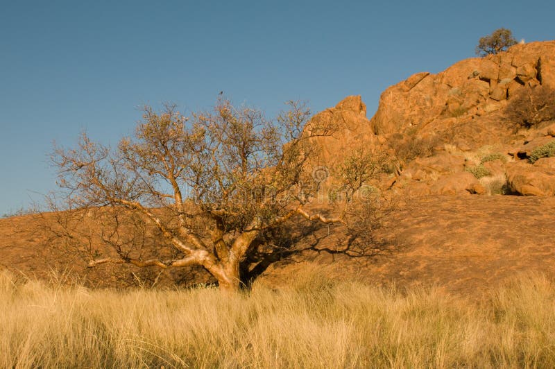 Namibian landscape stock image. Image of namibia, wilderness - 21079953