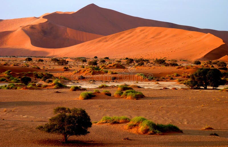 Red Sand Dune, Sossusvlei, Namibia Stock Image - Image of full, tourism ...