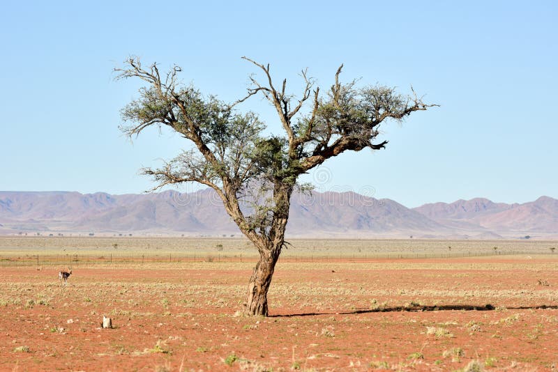 NamibRand Nature Reserve - Namibia Stock Photo - Image of rocks, africa ...