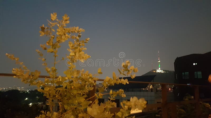 Namsan Tower Night View stock photo. Image of view, namsan - 165109436