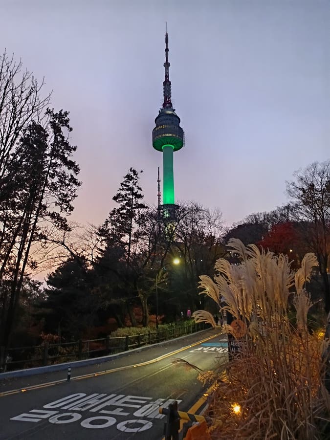 Namsan Tower or Seoul Tower in the Night Stock Image - Image of night ...