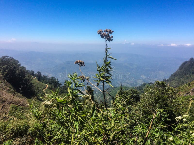 Namunukula Mountain Range at Badulla. Stock Photo - Image of walking ...
