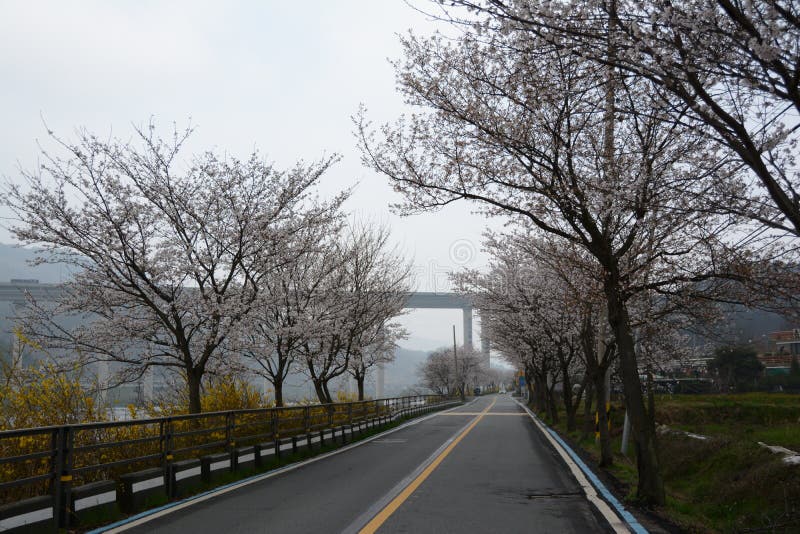Namwon fotografering för bildbyråer. Bild av korea, turist - 81575925