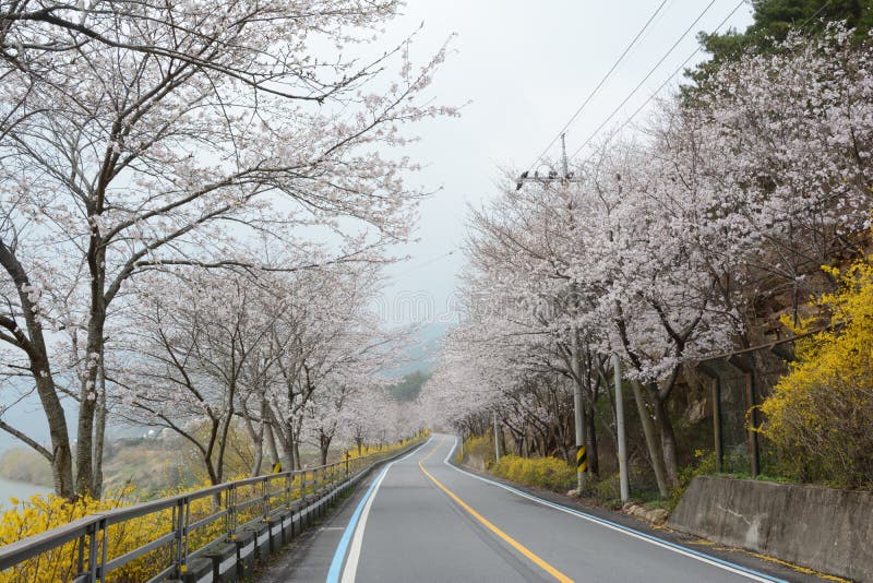 Namwon stock photo. Image of destination, tourist, asia - 81575934