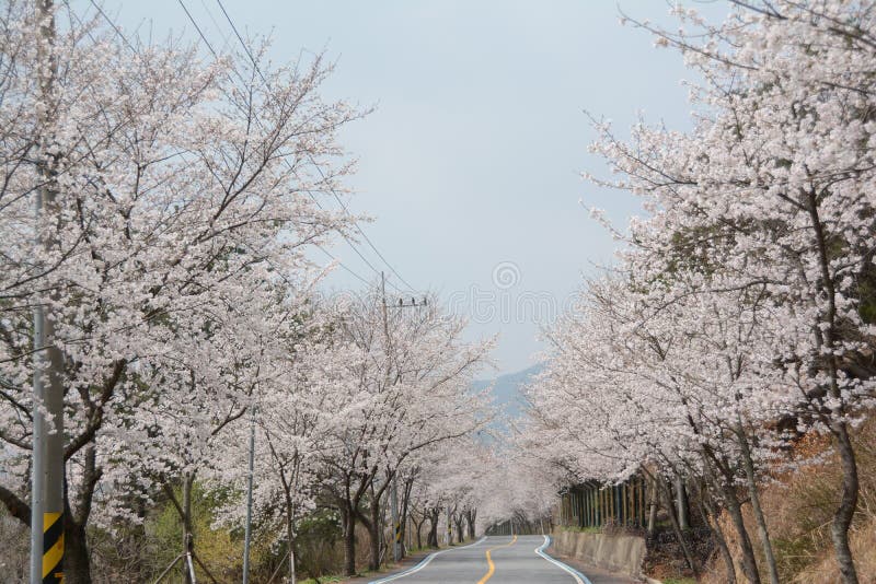Namwon stock image. Image of landscapes, korea, seasons - 81580563