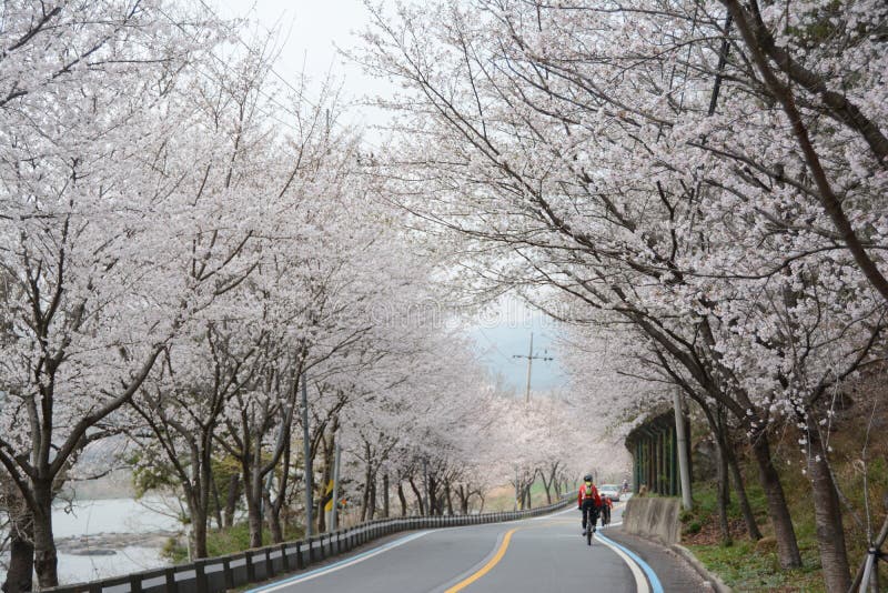 Namwon stock photo. Image of travel, korea, overcast - 81601764