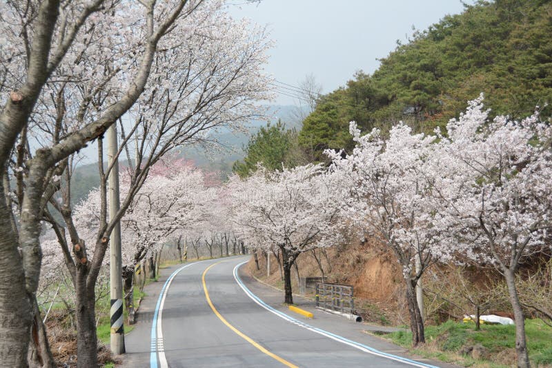 Namwon stock photo. Image of korea, cloud, travel, tourist - 81604620