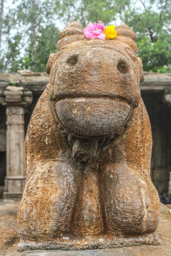 Nandi the Baby Bull of Lord Shankar Stock Photo - Image of travel ...