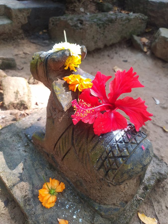 Nandi Idol Made Out of Stone Stock Photo - Image of stone, nandi: 260935356